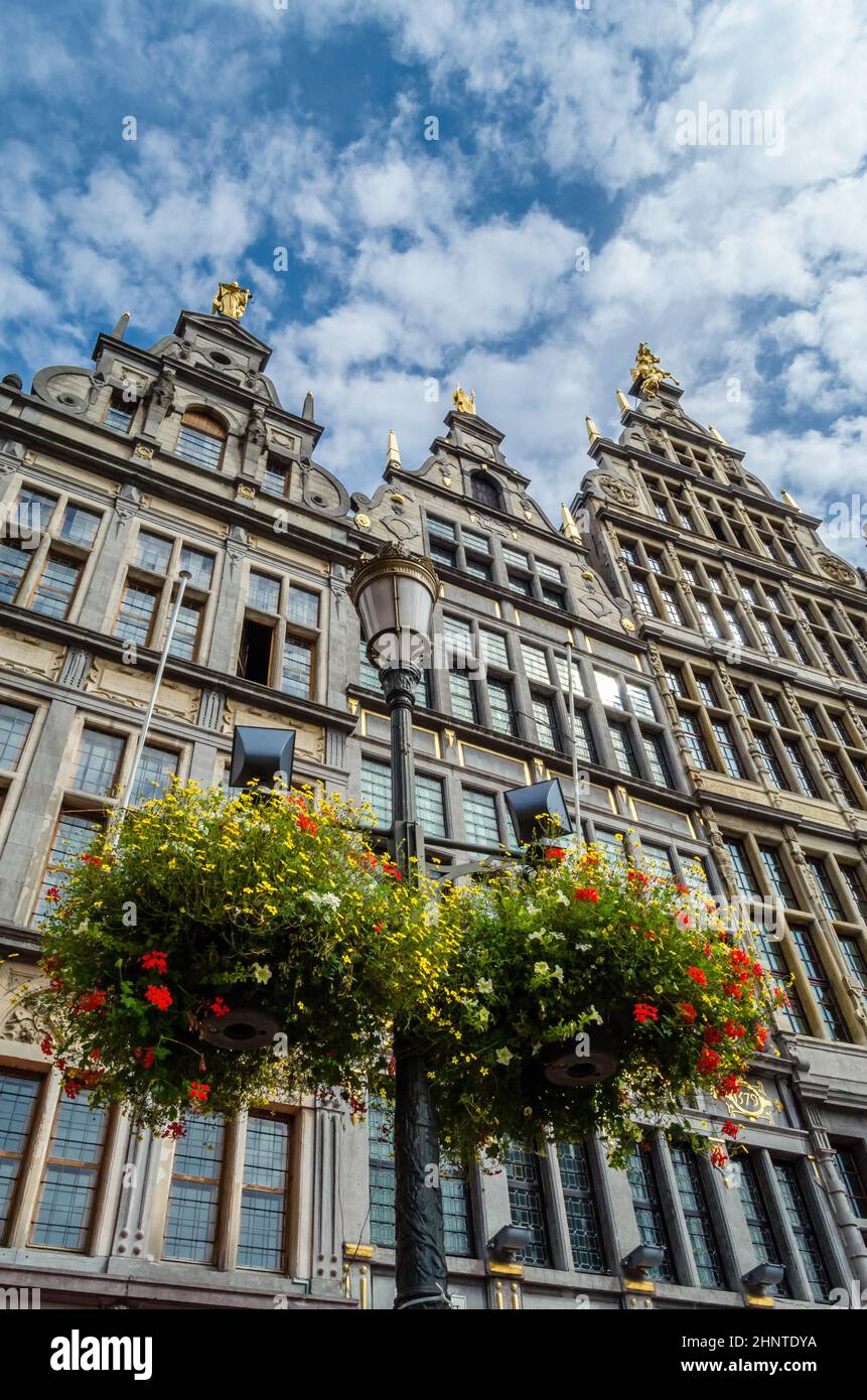 Belgian square hi-res stock photography and images - Alamy