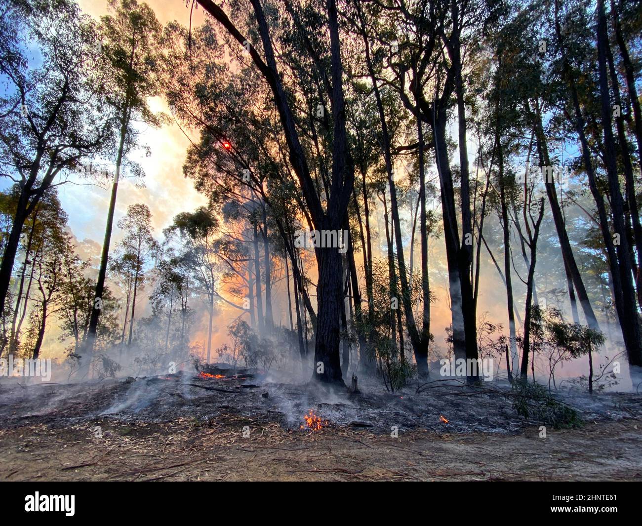 The ground burning after a hazard reduction burn Stock Photo - Alamy