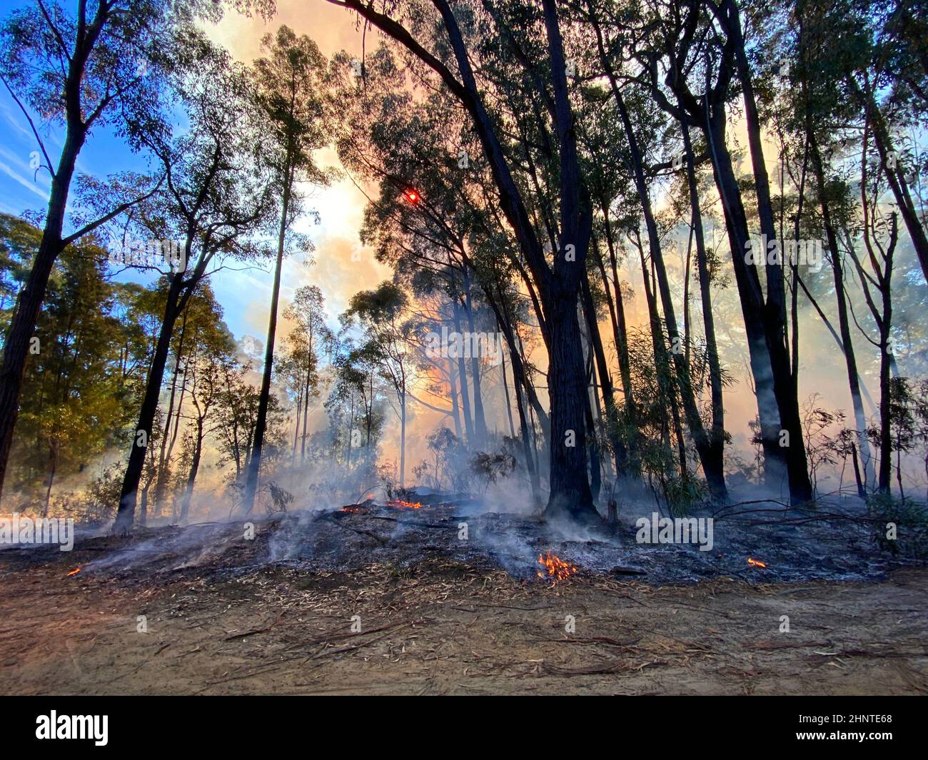 The ground burning after a hazard reduction burn Stock Photo - Alamy