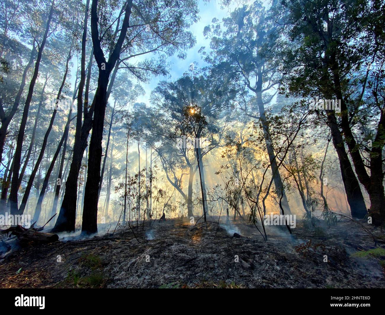 The ground burning after a hazard reduction burn Stock Photo - Alamy