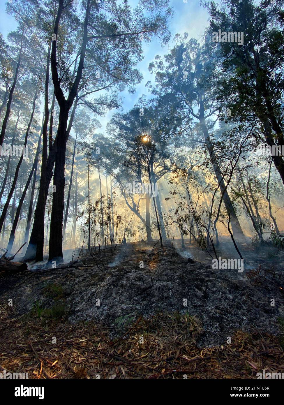 The ground burning after a hazard reduction burn Stock Photo - Alamy