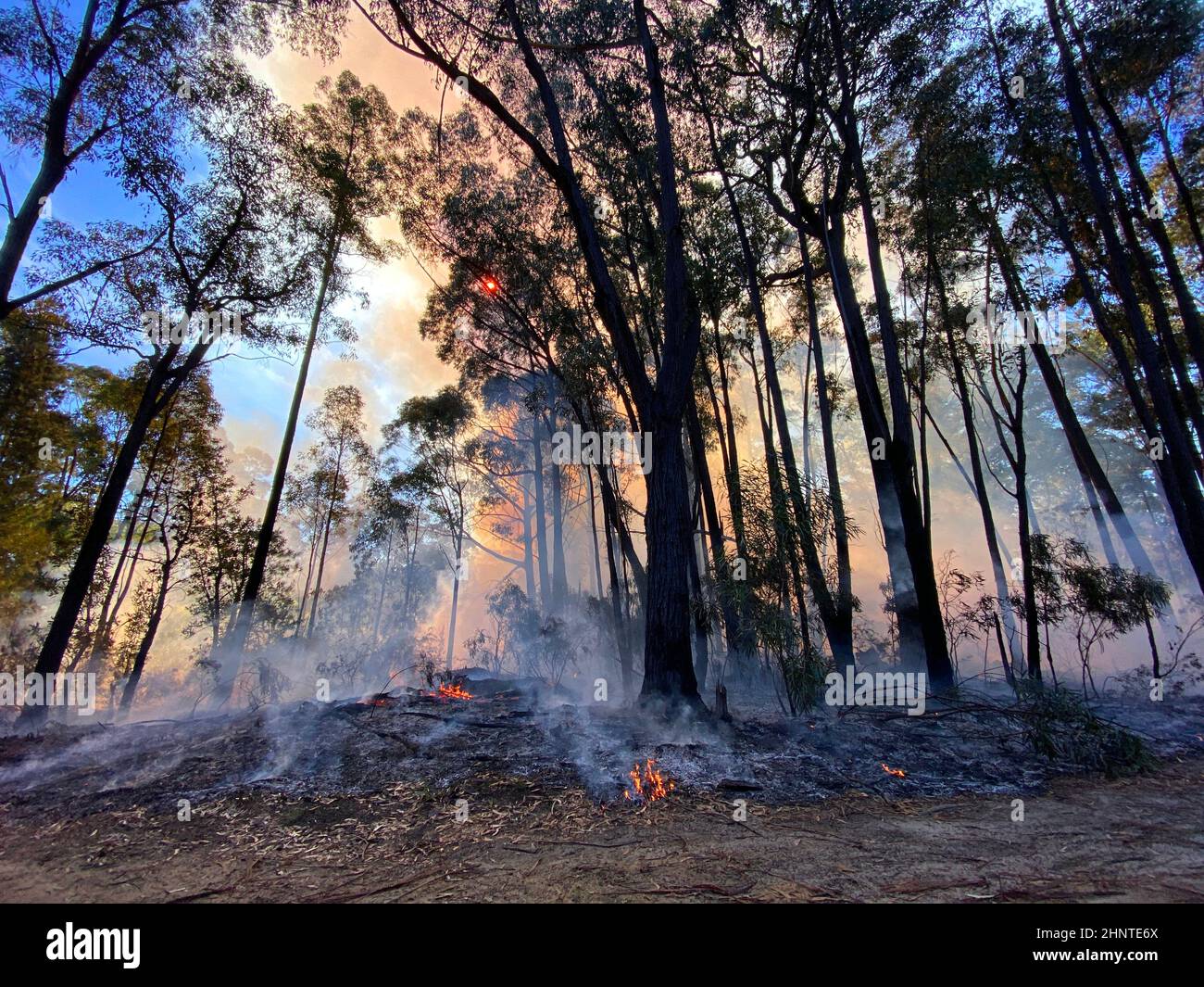 Ground burning after hazard hi-res stock photography and images - Alamy