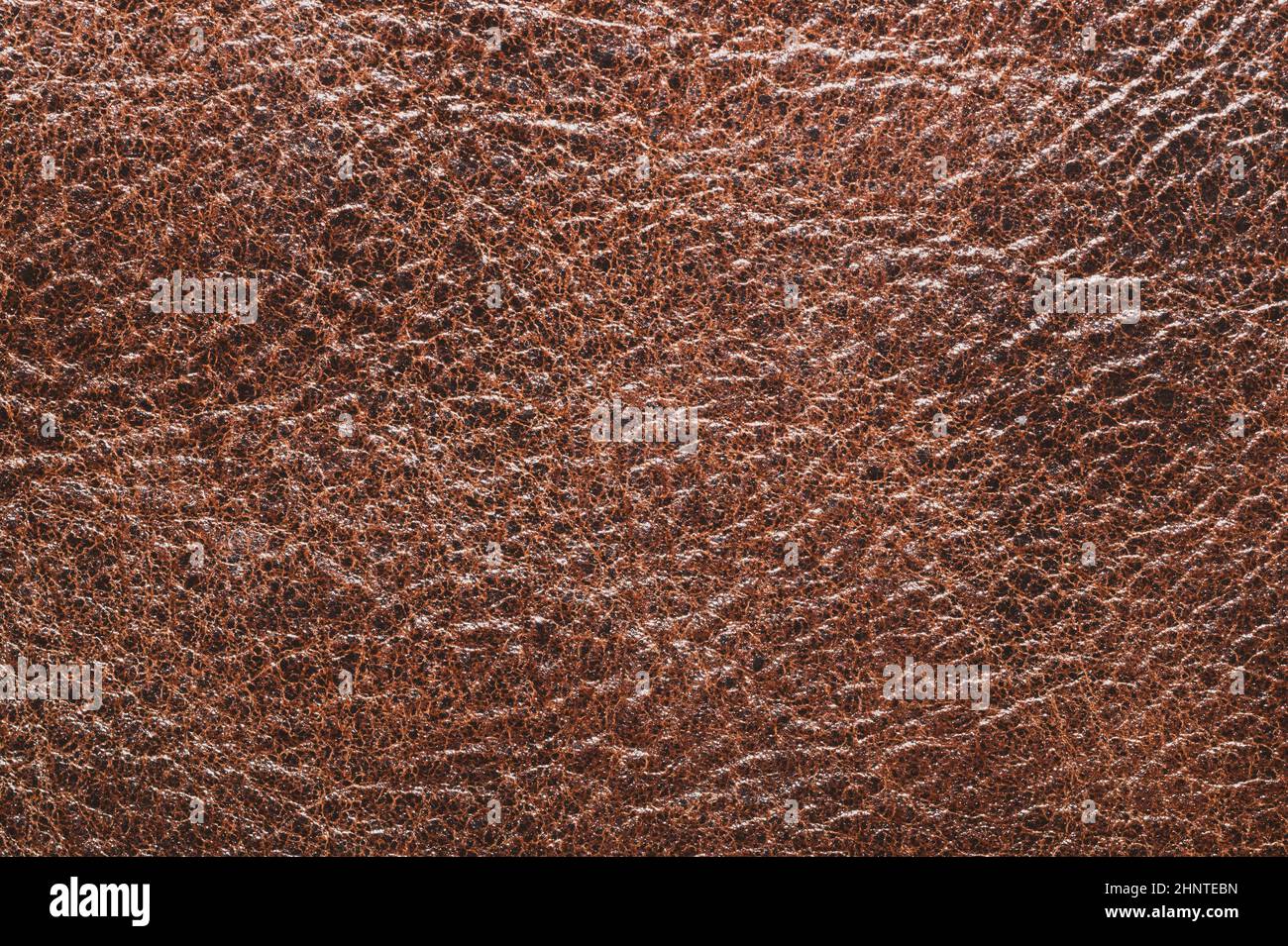 Brown leather texture background. rough material close up Stock Photo ...