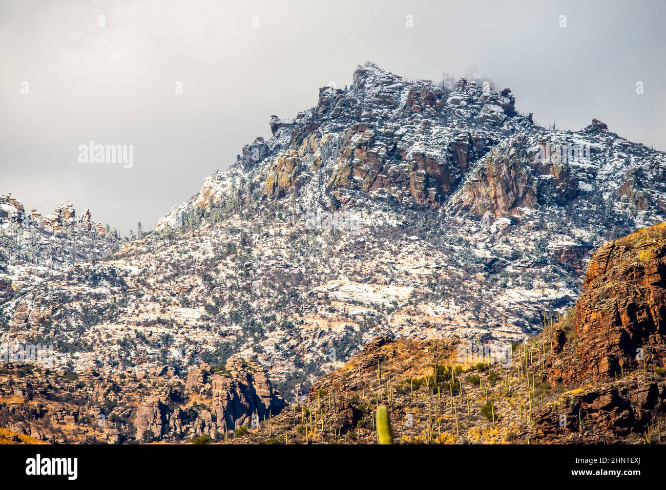 Desert landscape in Tucson Arizona Stock Photo - Alamy