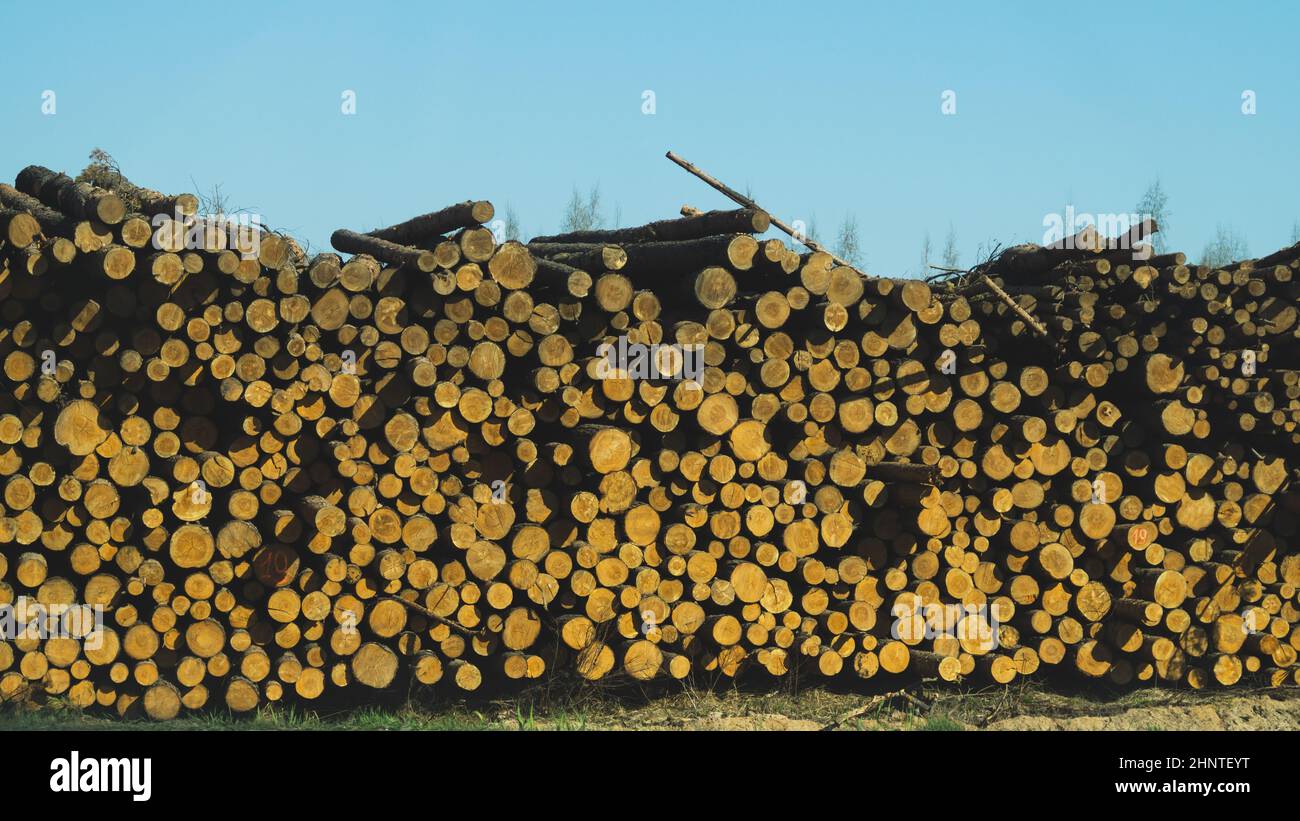 Stack of logs lying on the side of the road. large pile of timber ...
