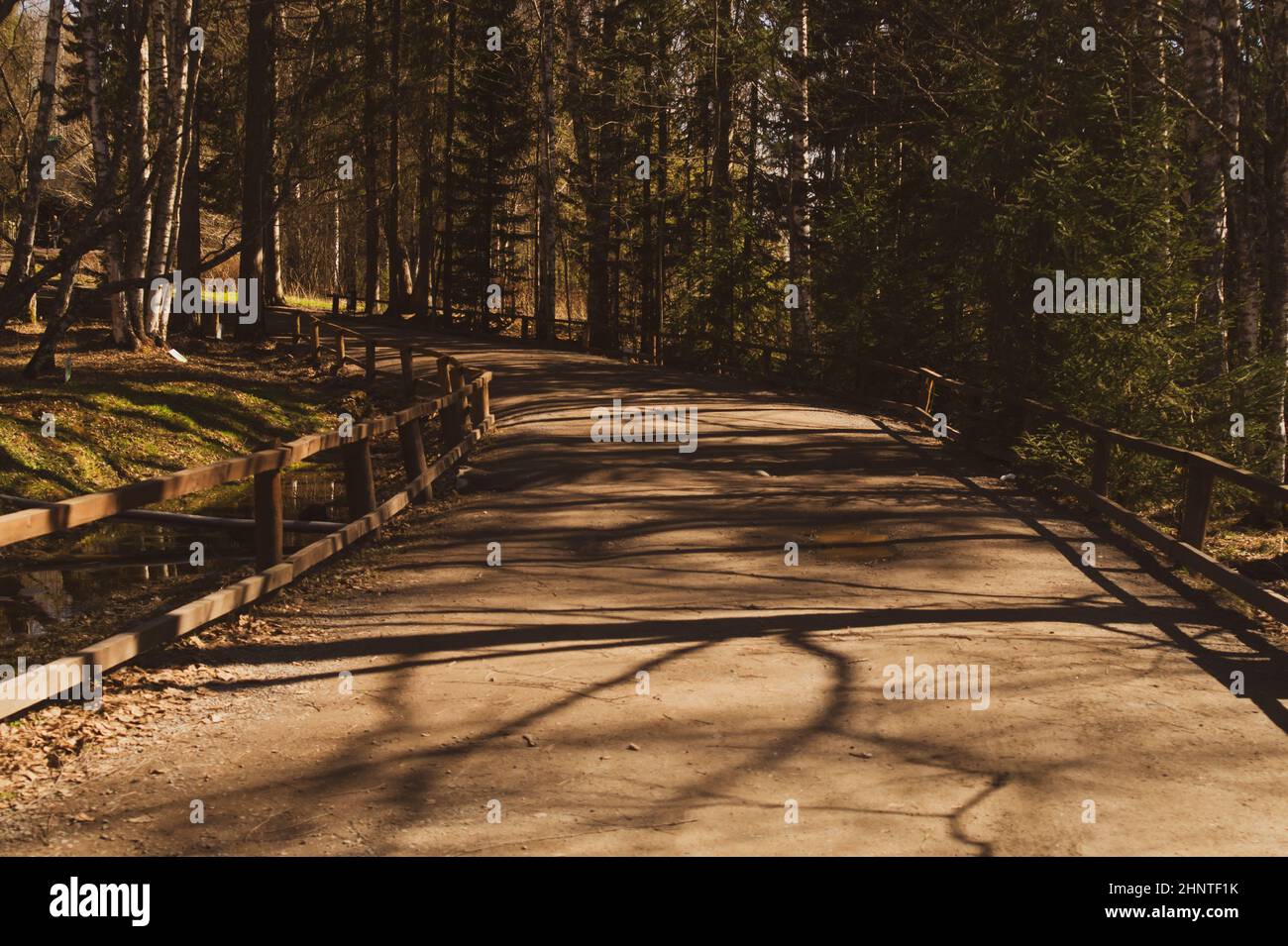 Pathway in the forest. alley in the park nature background Stock Photo ...