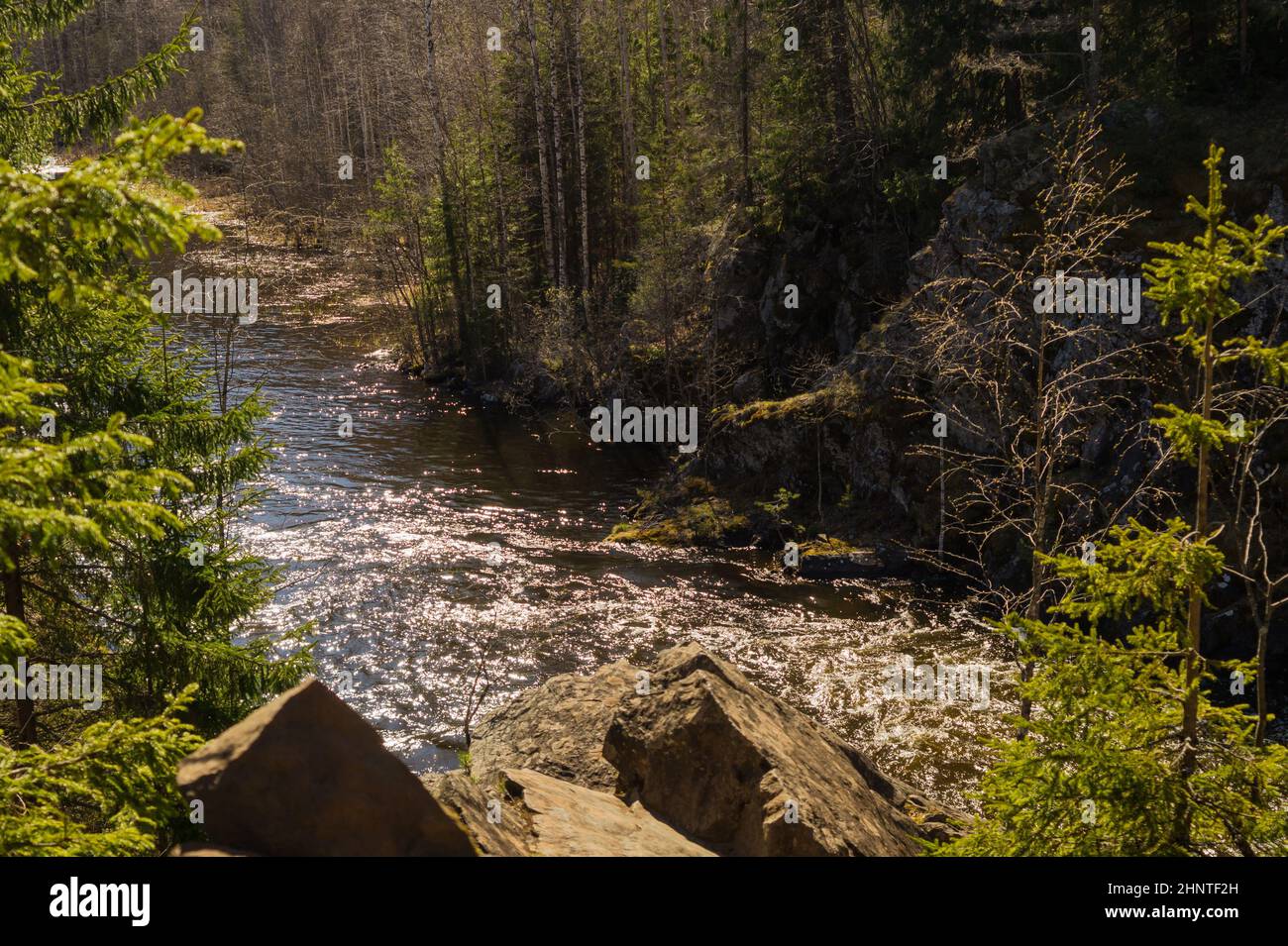 Rocky river in the forest. flowing water. forest landscape Stock Photo ...