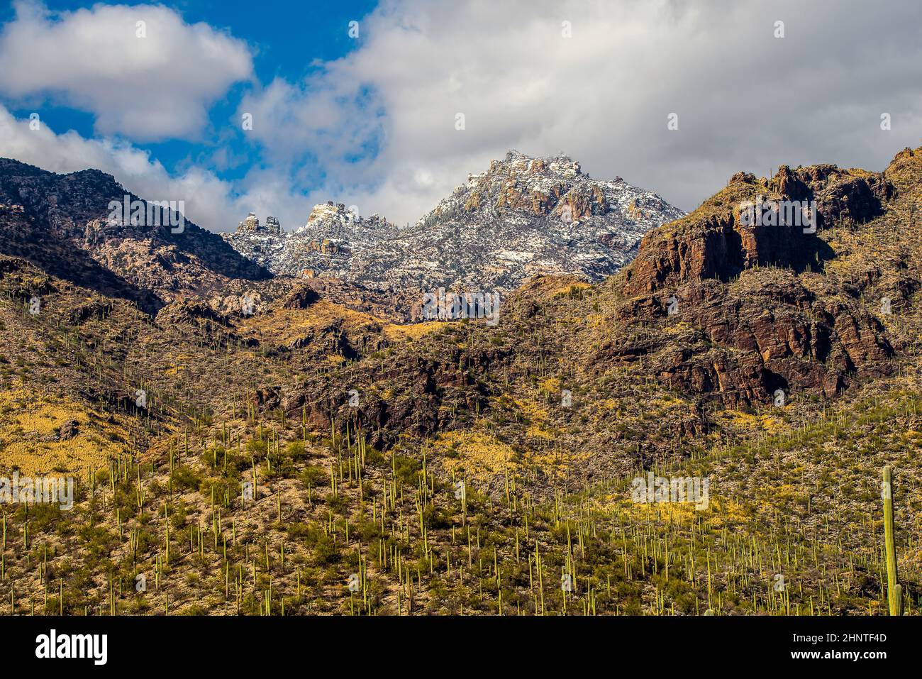Desert landscape in Tucson Arizona Stock Photo - Alamy