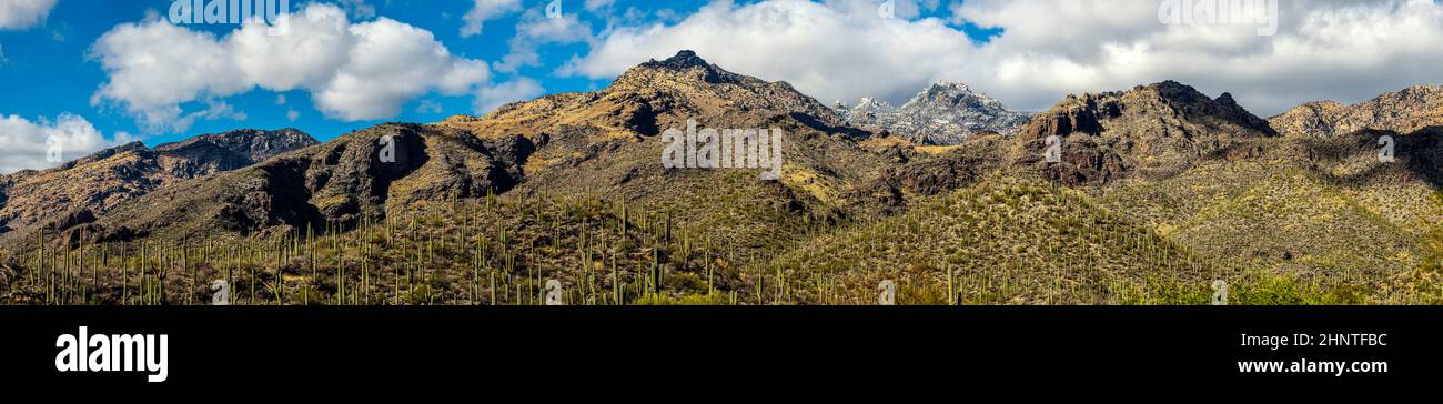Desert landscape in Tucson Arizona Stock Photo - Alamy
