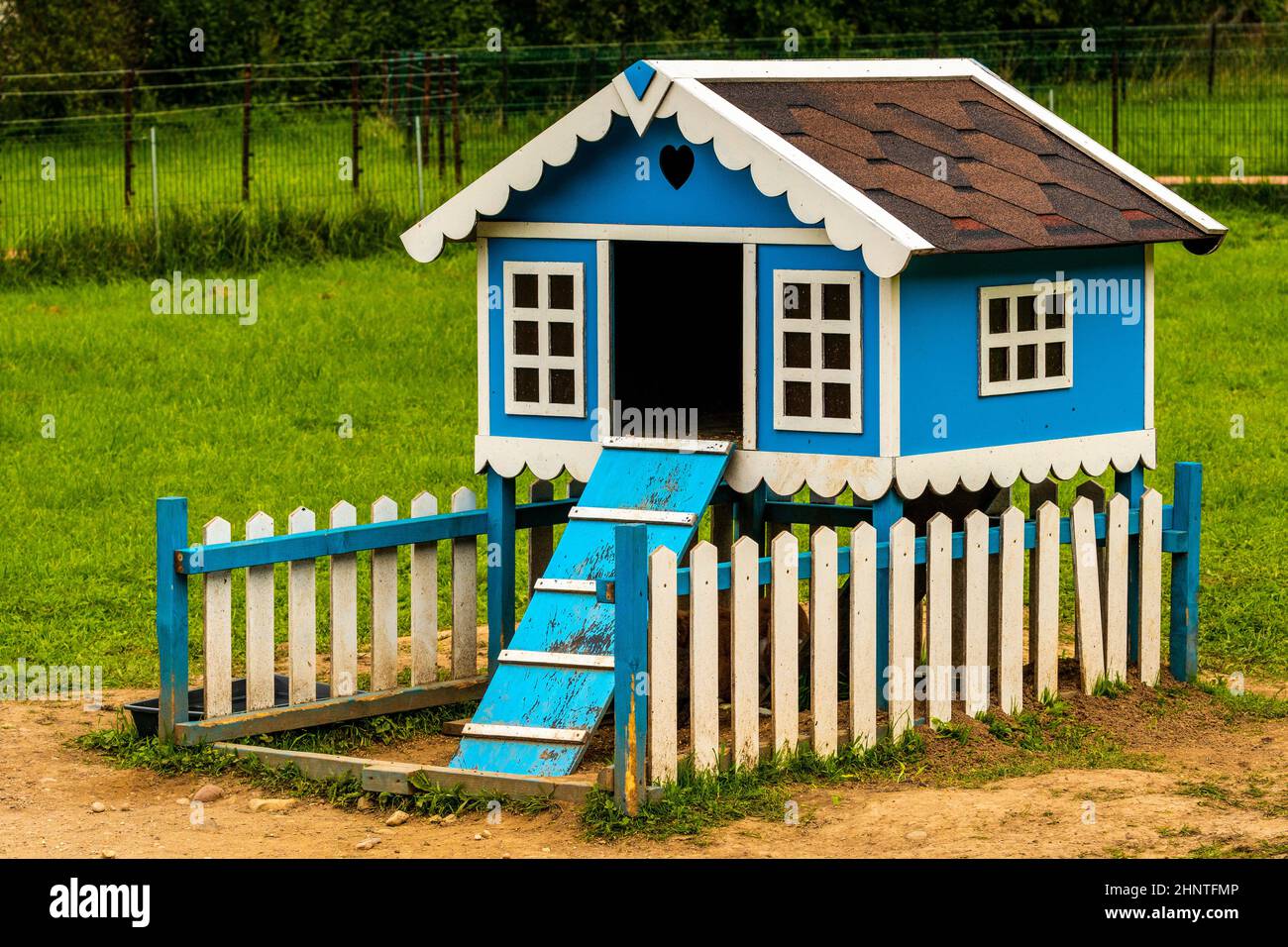 Decorative house for domestic rabbits. Rabbit house on the grass in the ...