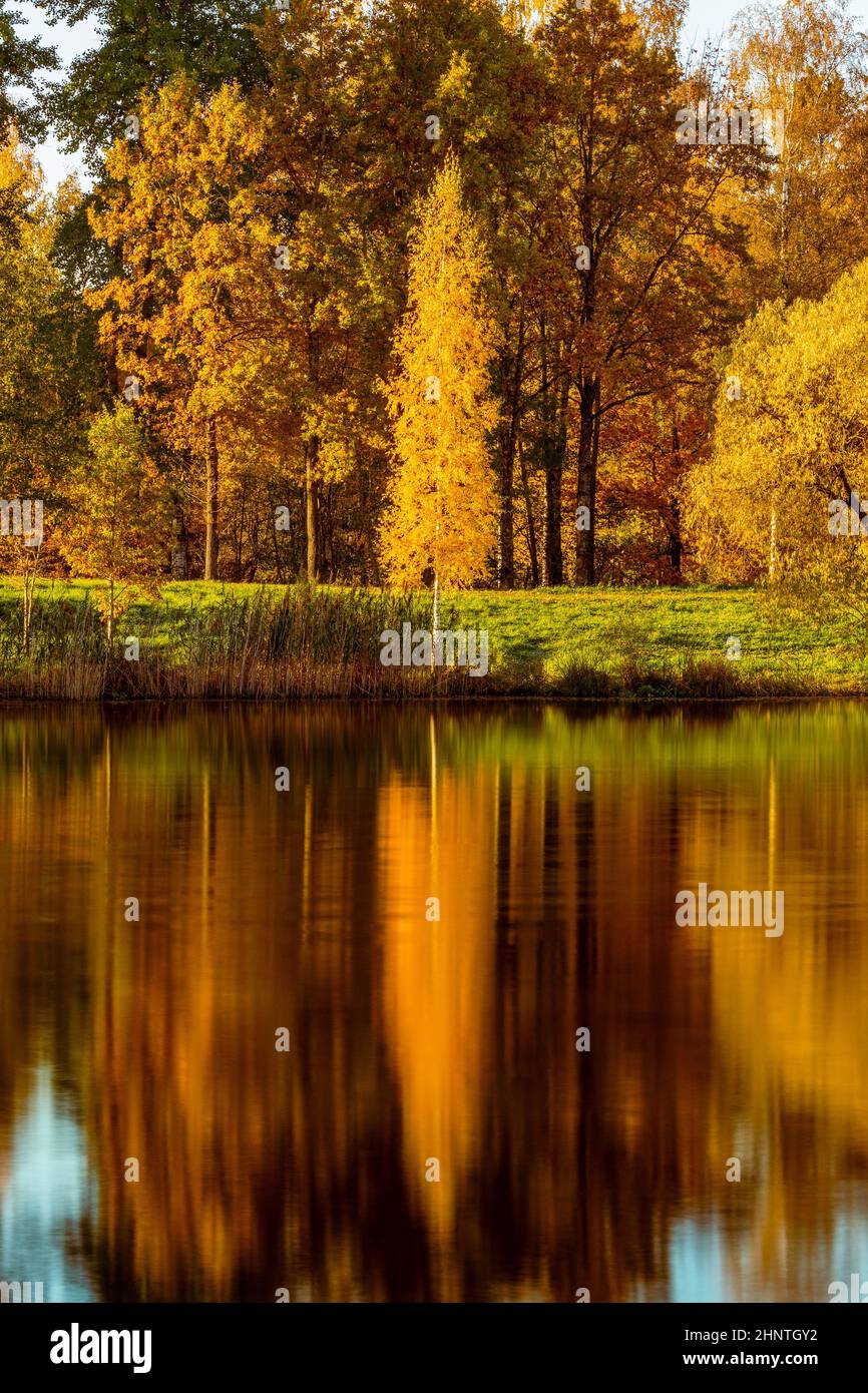 Lake reflections of fall foliage. Colorful autumn foliage casts its ...