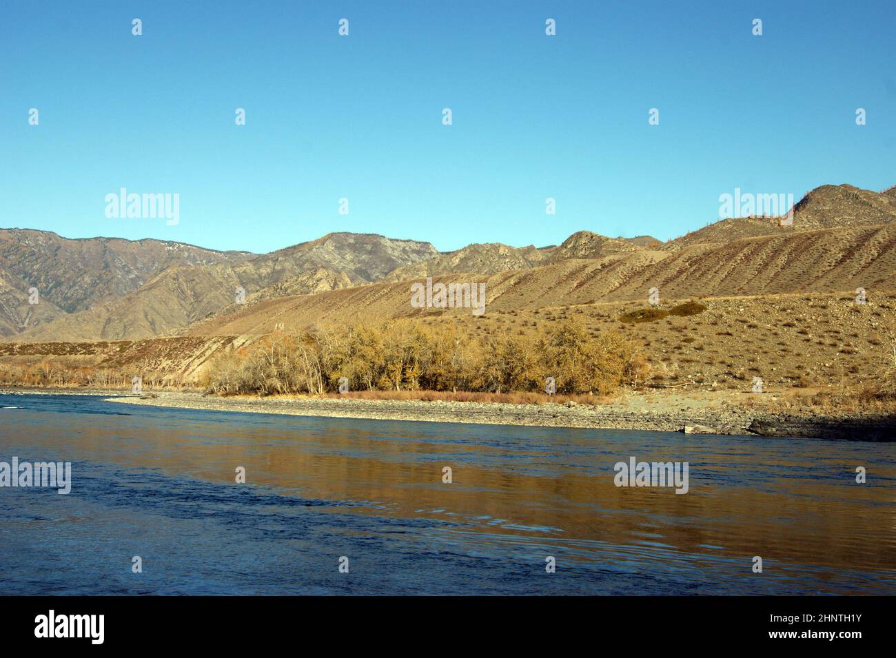 Beautiful mountain river with tempestuous current in siberia Stock ...