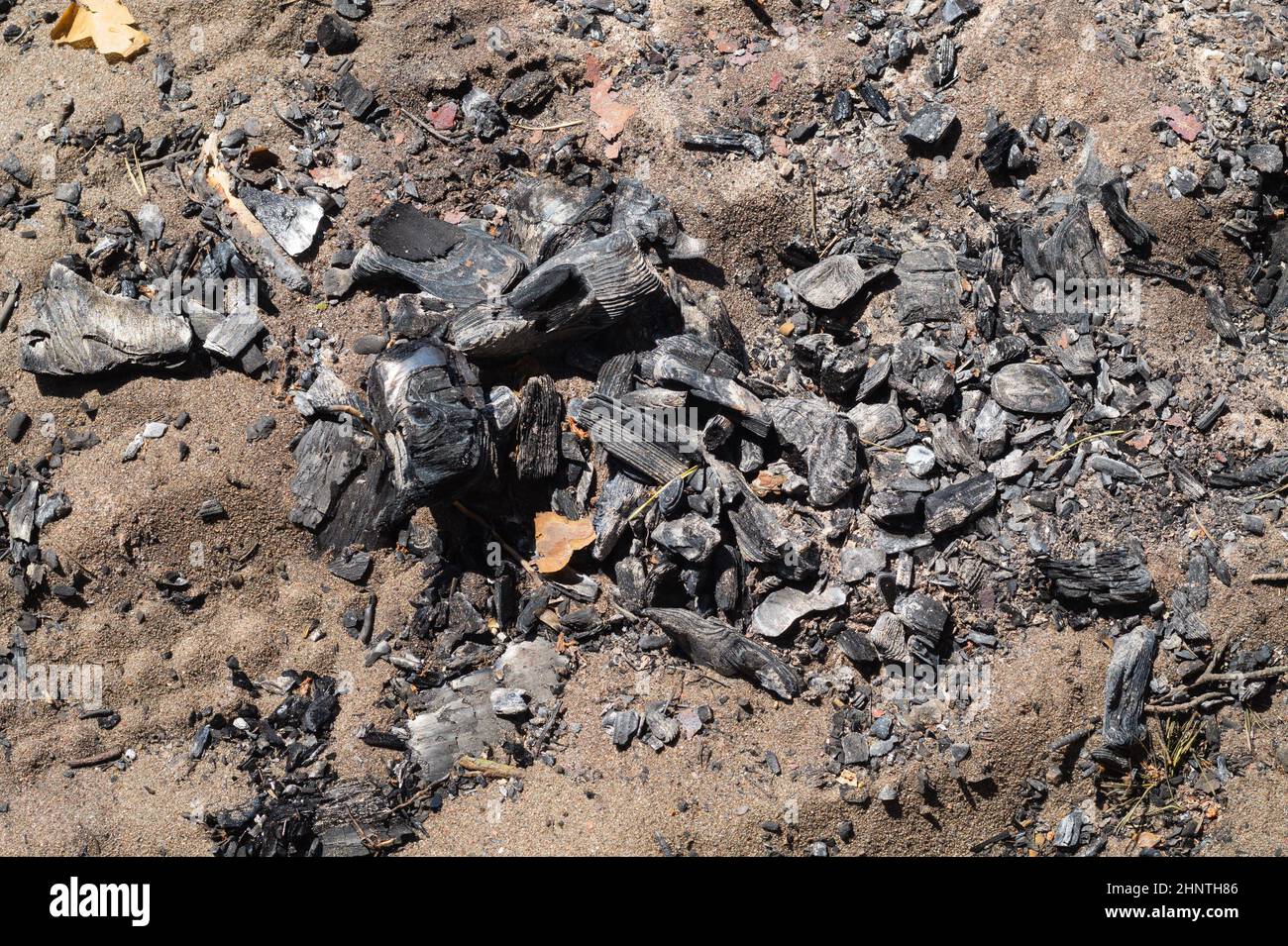 Ash and coal after bonfire. small twigs. place for fire Stock Photo - Alamy