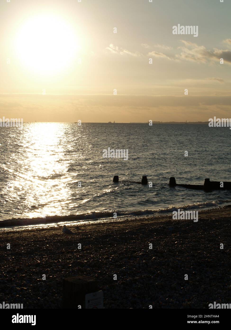 Golden sunset at Meon Shore, Hampshire, England, UK Stock Photo - Alamy