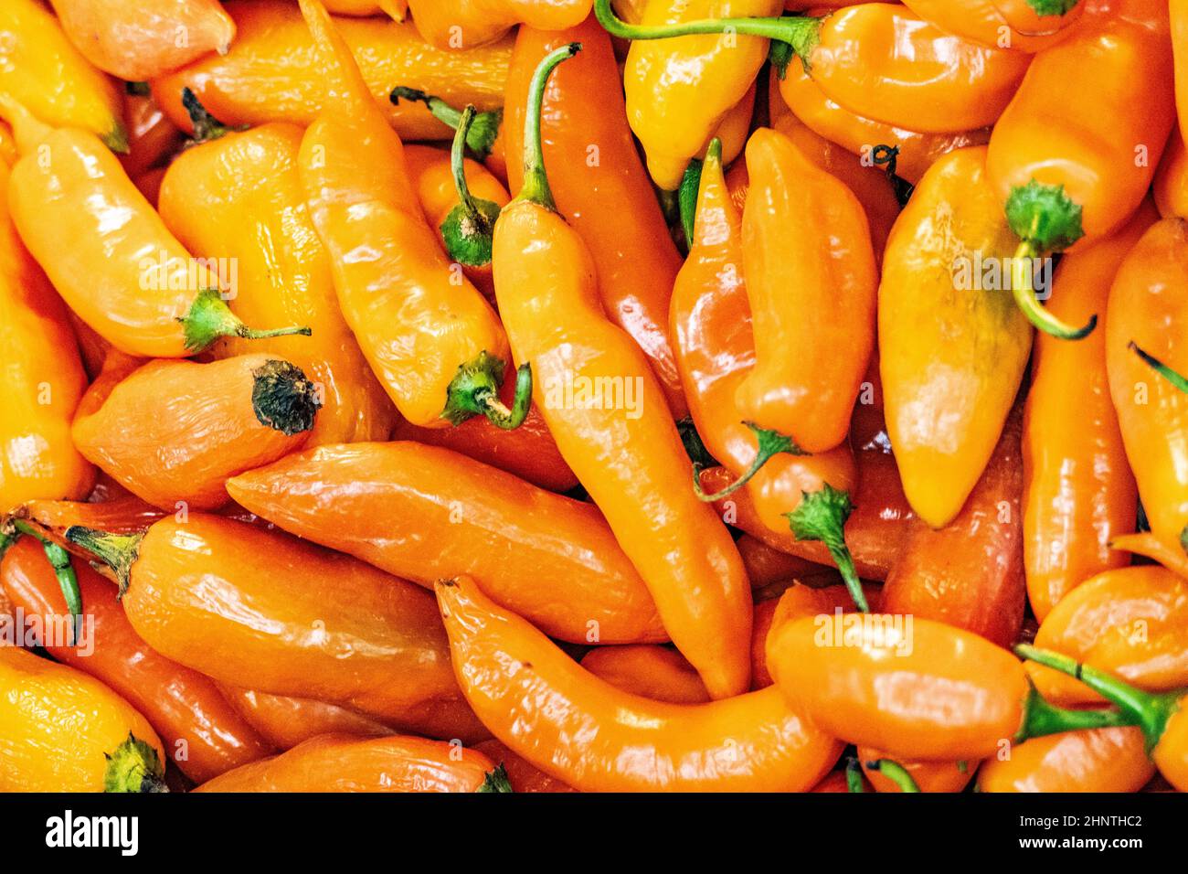 orange pepperonis at the food market in Costa Rica Stock Photo - Alamy