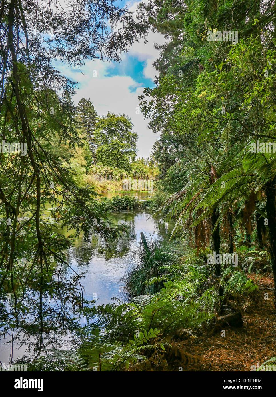 The crystal clear waters of Hamurana Springs, Rotorua, New Zealand ...