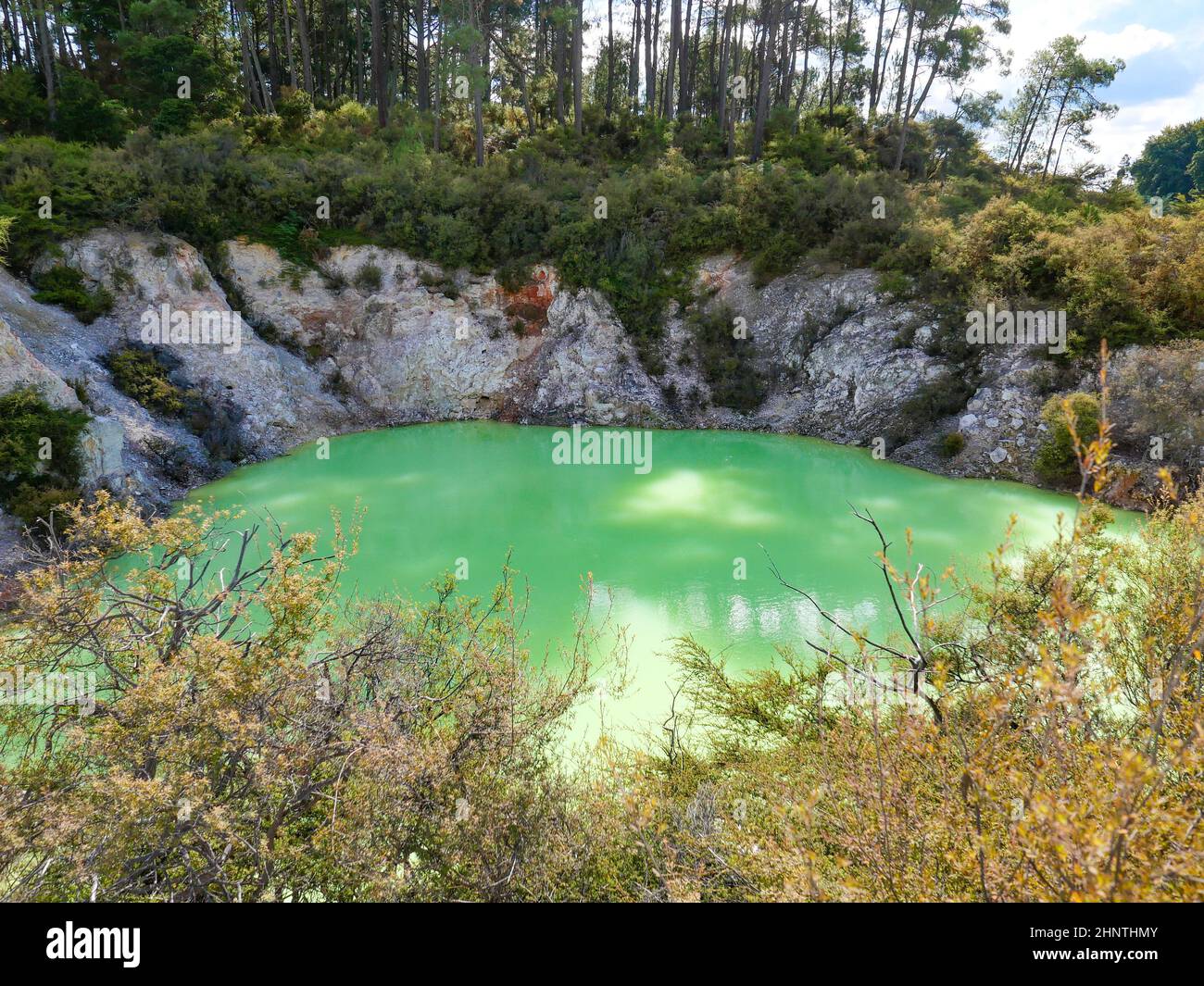 scenic beautiful lake in rotorua, New Zealand Stock Photo - Alamy