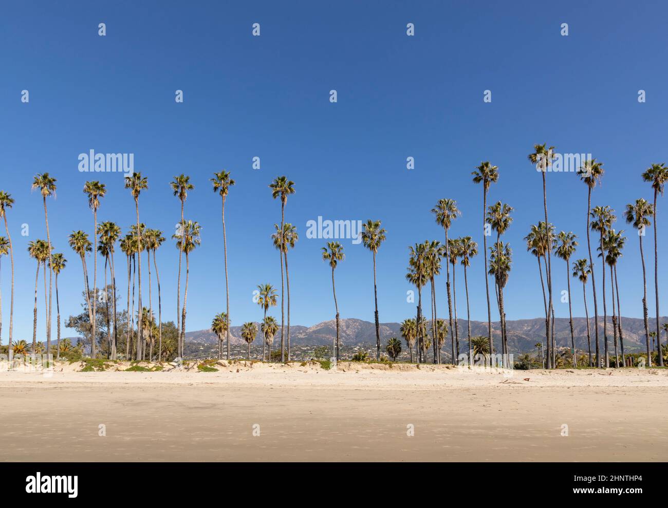 scenic beach at Santa Barbara with palm trees Stock Photo - Alamy