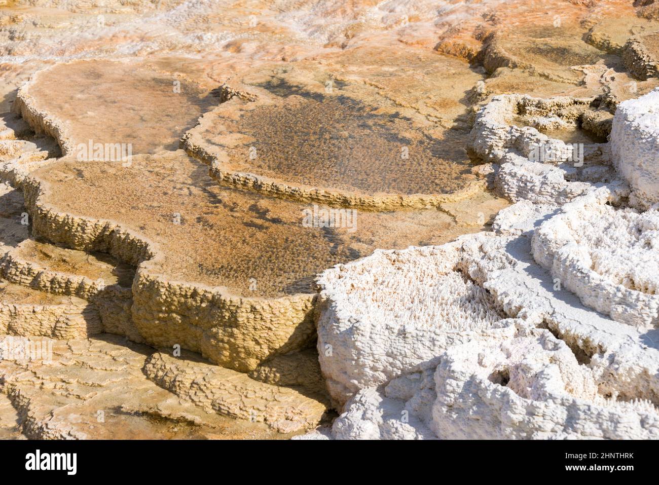 Details of the rock formations in the Mammoth Hot Springs at ...