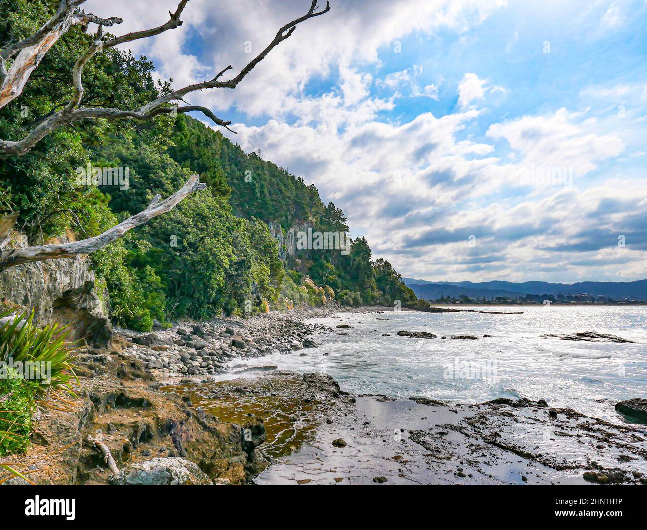 scenic Pauanui loop walk at the New Zealand coast Stock Photo - Alamy