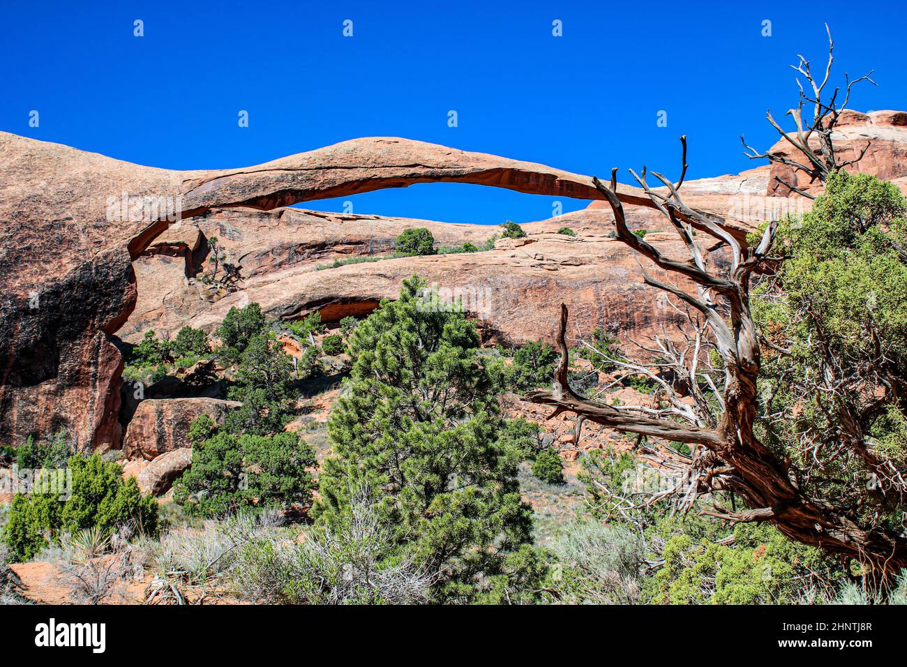 natural rock bridge in Bridges national park, USA Stock Photo - Alamy