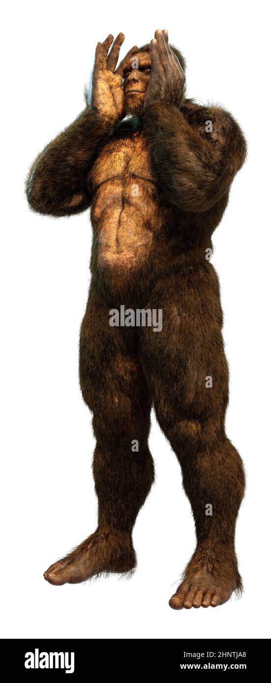 3D rendering of a Sasquatch or Bigfoot isolated on white background ...