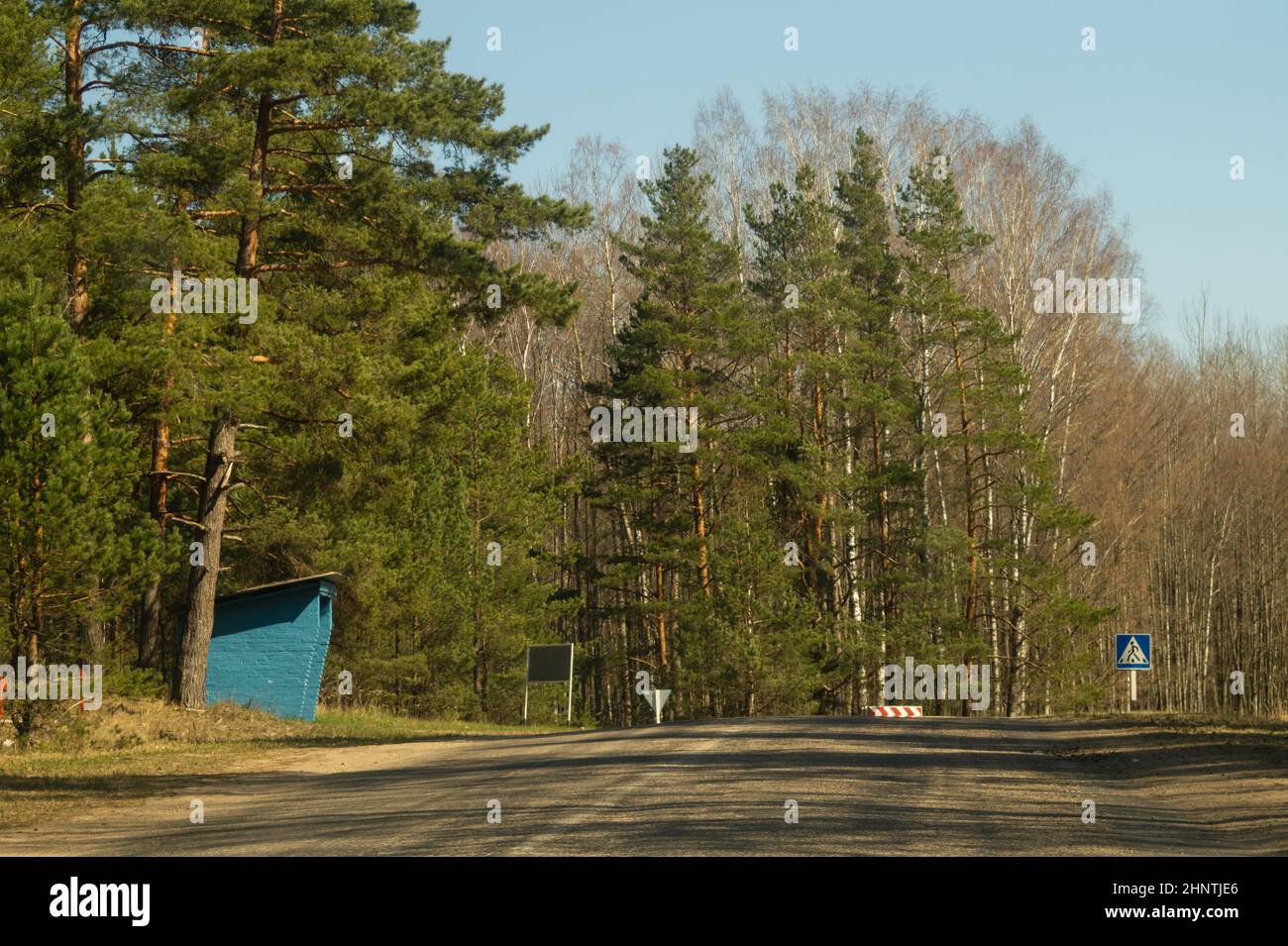 Forest road. way through the forest. country roadway with bus stop ...