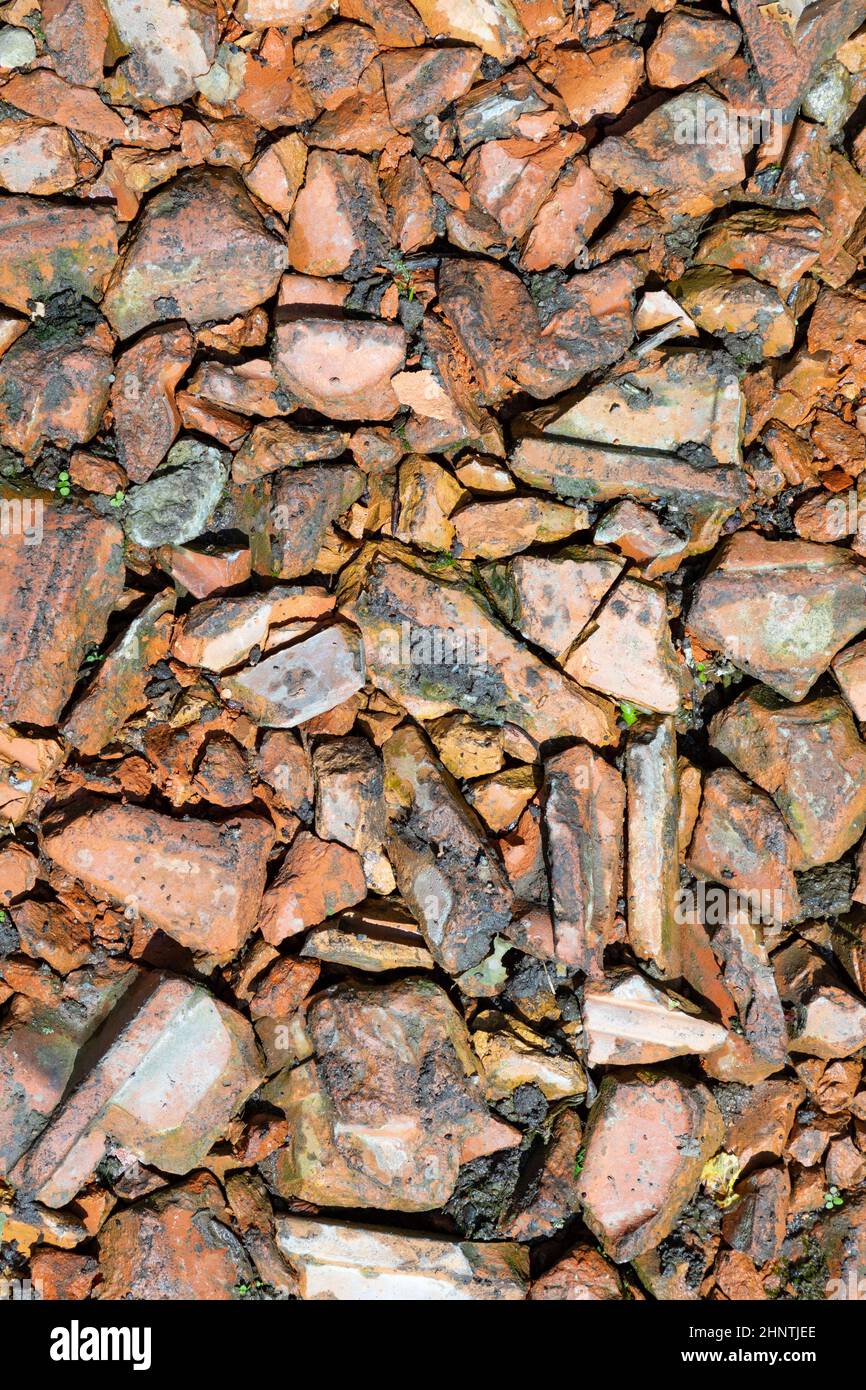 construction rubble of old red old tiles gives a harmonic background ...
