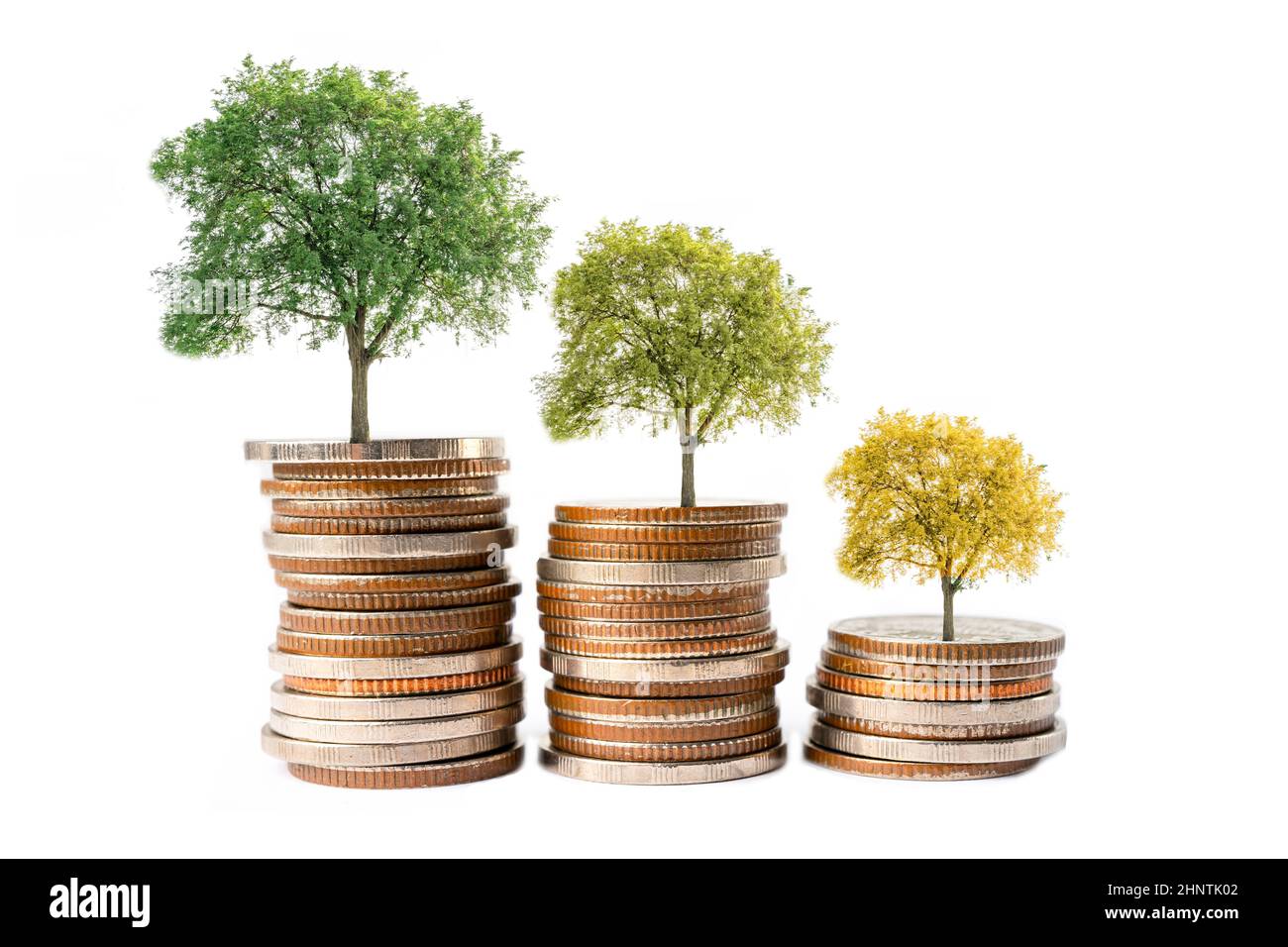 Save money tree and change color growing on stack coins, Business ...