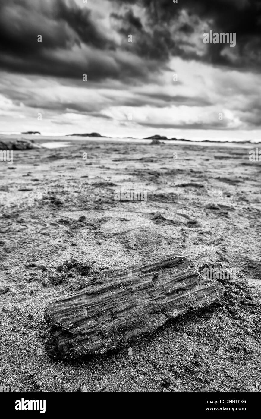Rotten wood detail on a beach in summer, vacation Stock Photo - Alamy