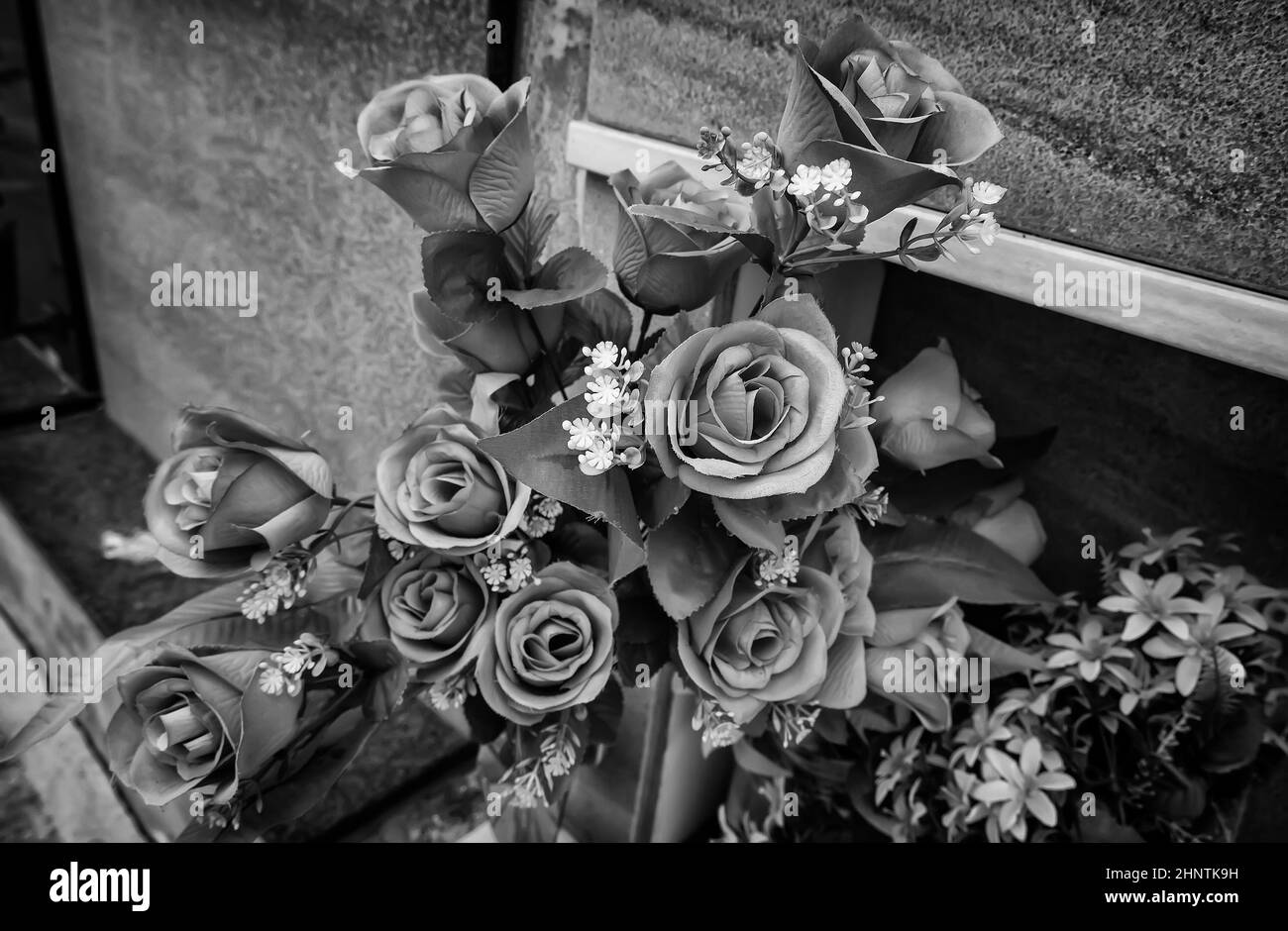 Sorrow white flowers Black and White Stock Photos & Images - Alamy