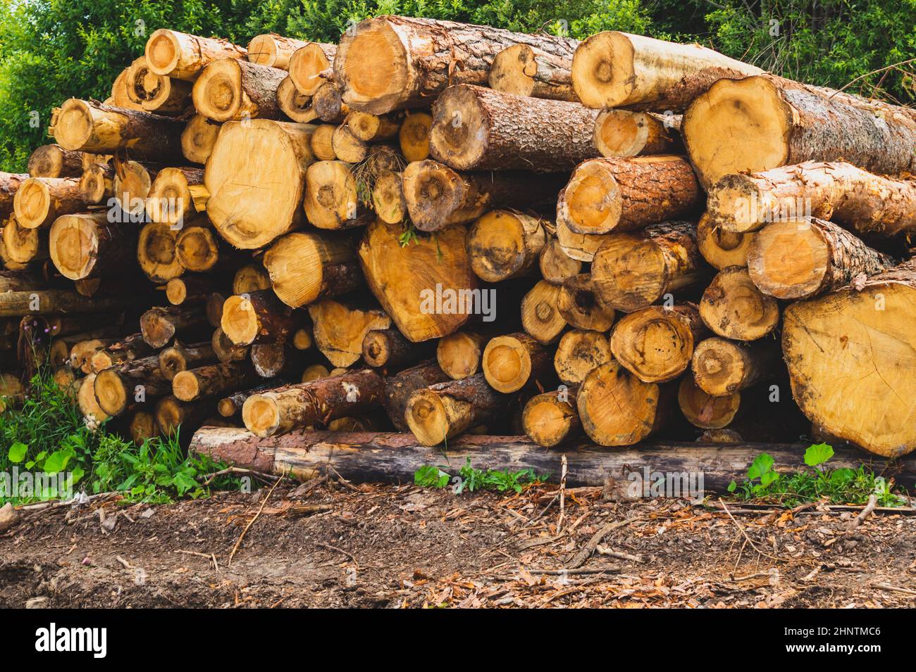 Stack of logs. natural wooden background with timber cuts. log wall ...