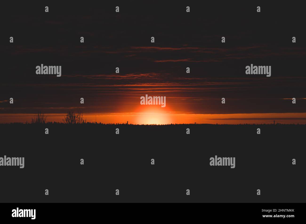 Golden sunset with sun and forest silhouette. horizon line at sundown ...