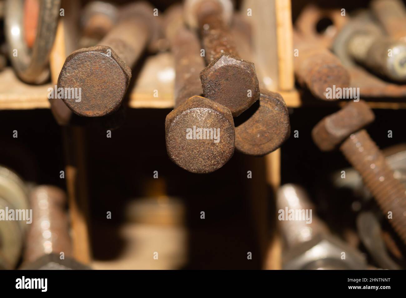 Old screws in a box. a lot of various screws. pile of fasteners in the ...
