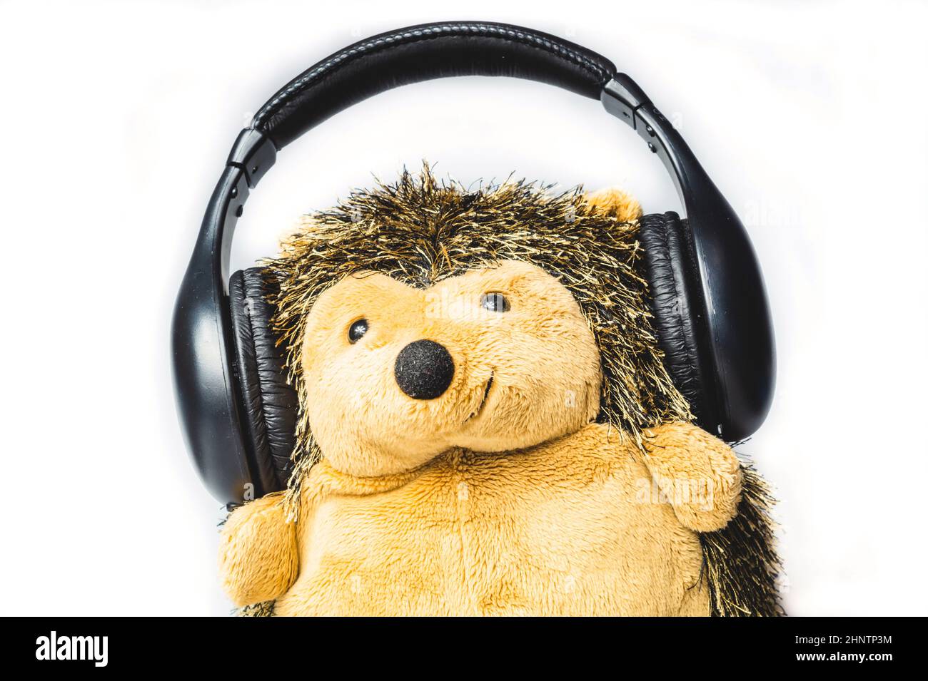 Plush hedgehog in the headphones. soft toy on a white background ...