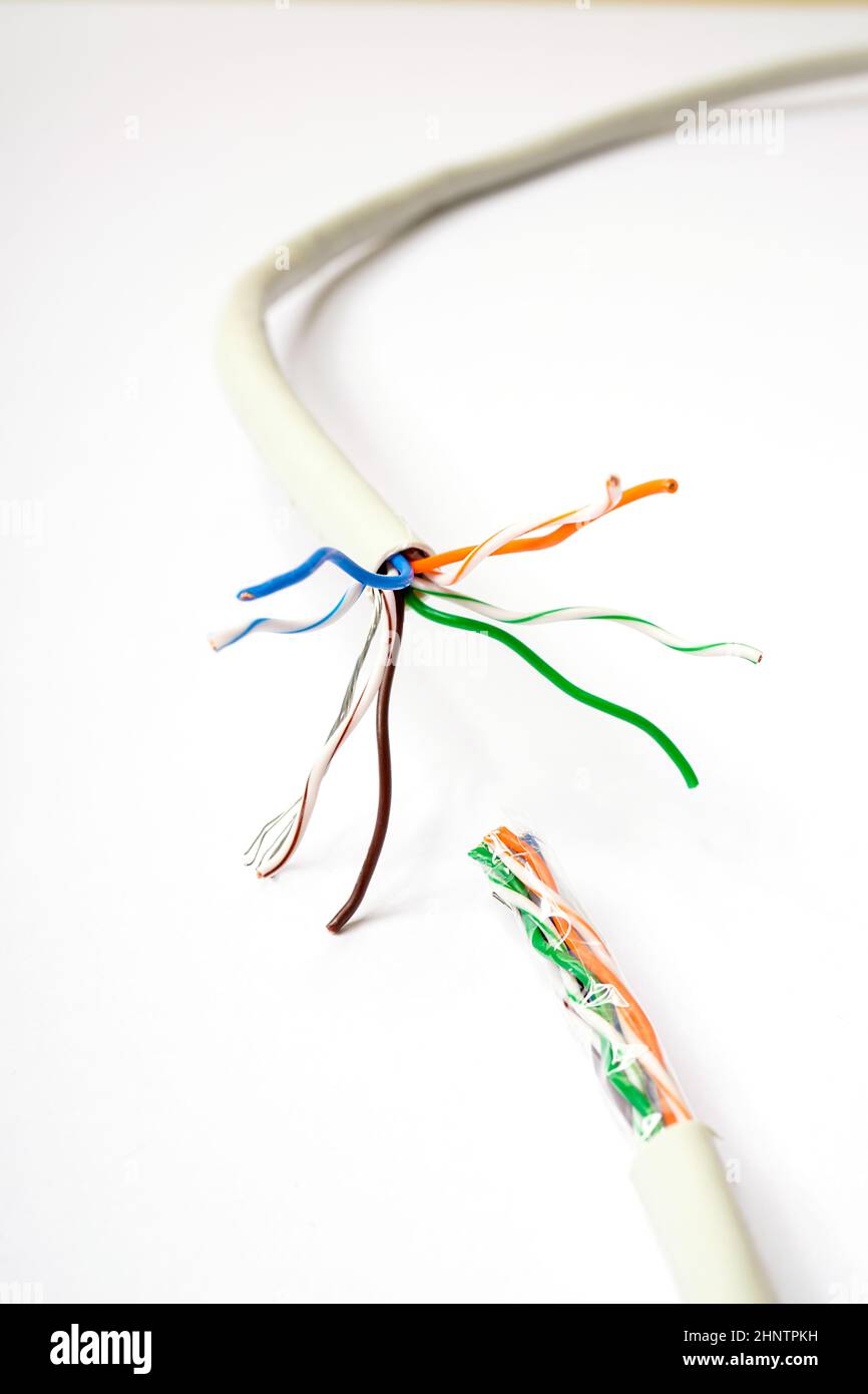 Cut up white network cable or patch cable in cross section Stock Photo ...