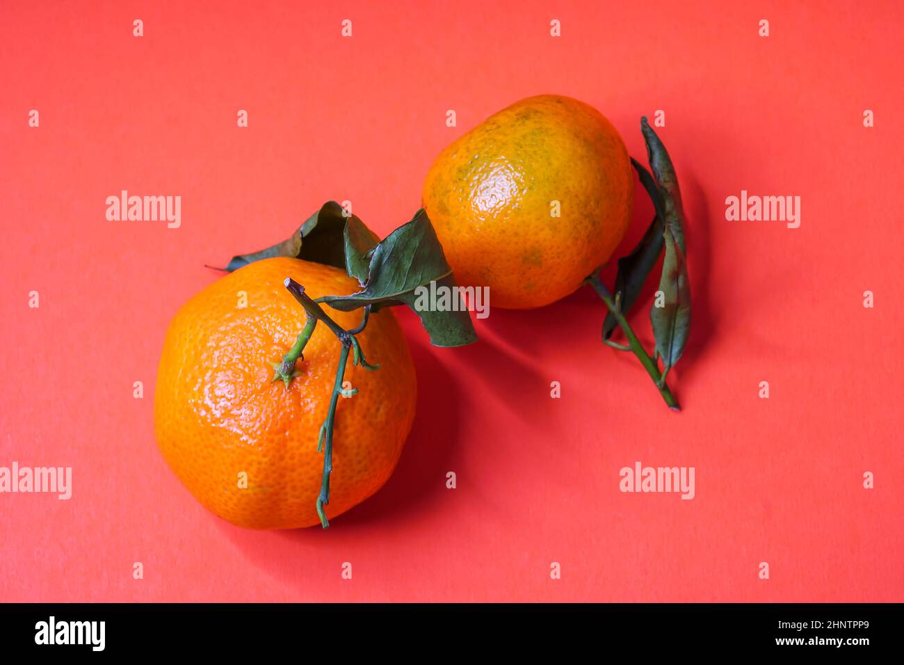 Ripe mandarin fruit (Citrus reticulata) with leaves on an orange ...
