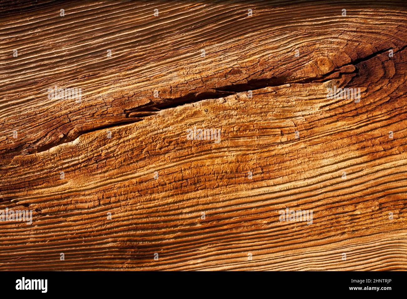 Old wood texture Stock Photo - Alamy