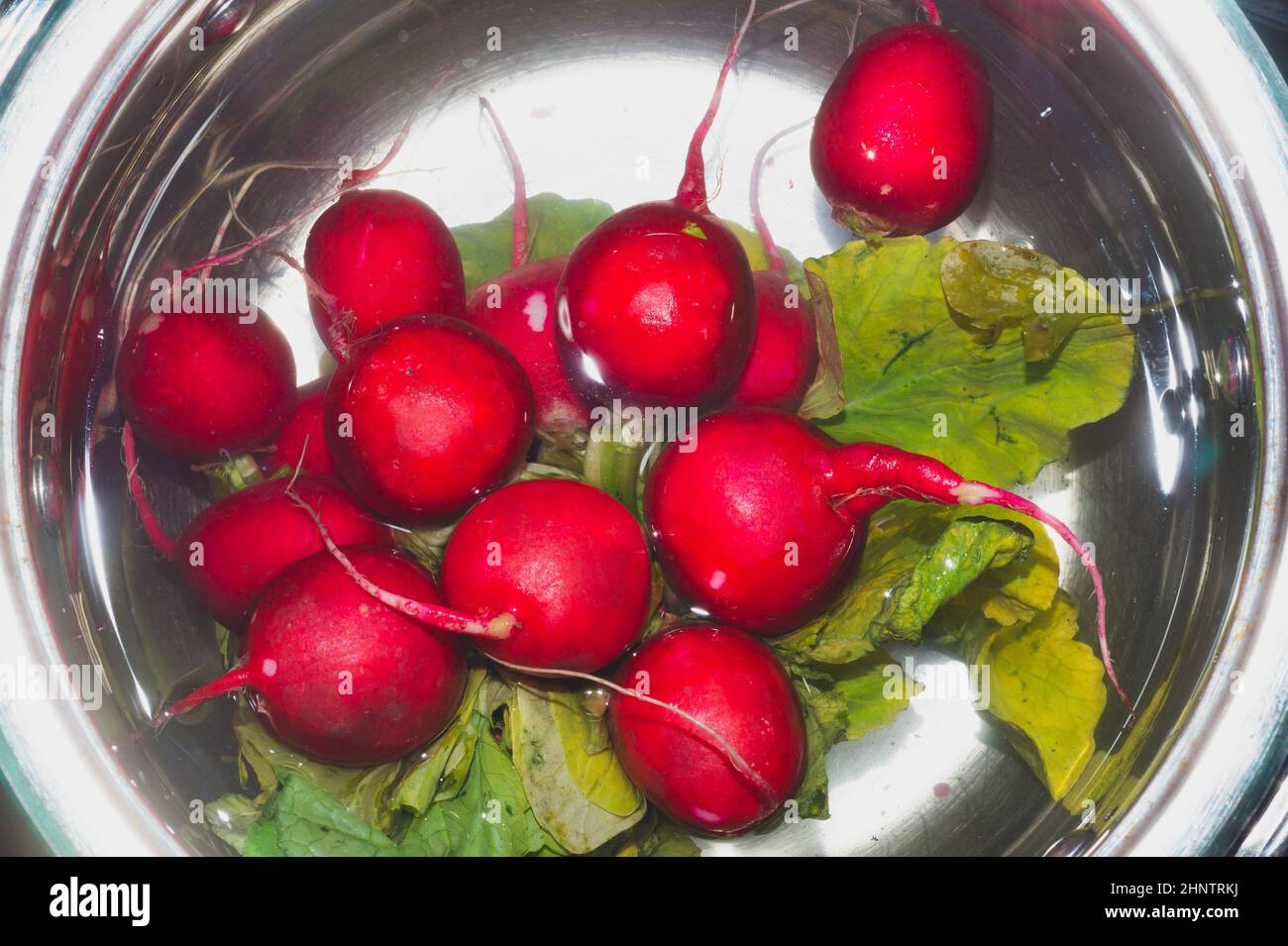 Fresh red radish with green leaves. vegetables soaked in bowl with ...