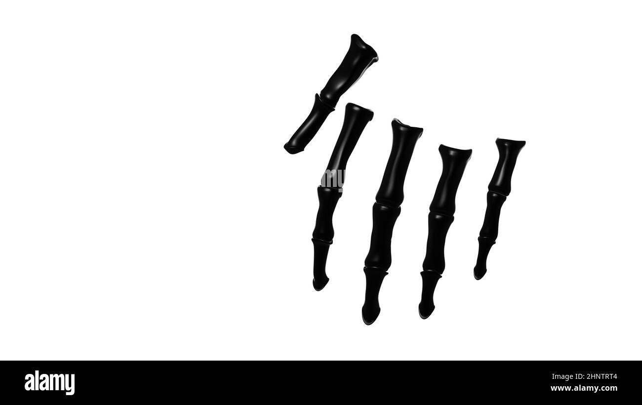 Human Skeleton Hand Phalanges Bone Anatomy For Medical Concept 3D ...