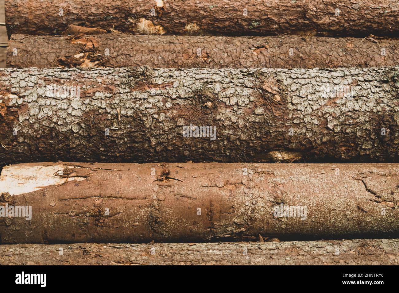 Pile of wooden logs texture. timber background. untreated wood Stock ...
