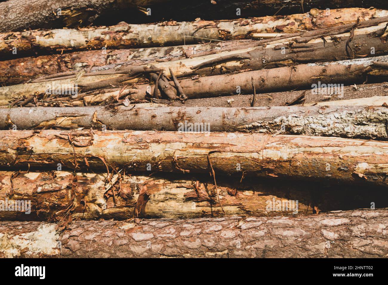 Pile of wooden logs texture. timber background. untreated wood Stock ...