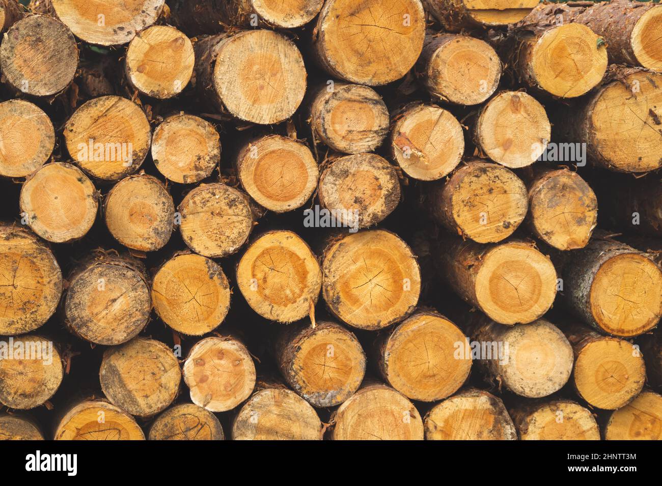 Stack of logs. natural wooden background with timber. log wall. pile of ...