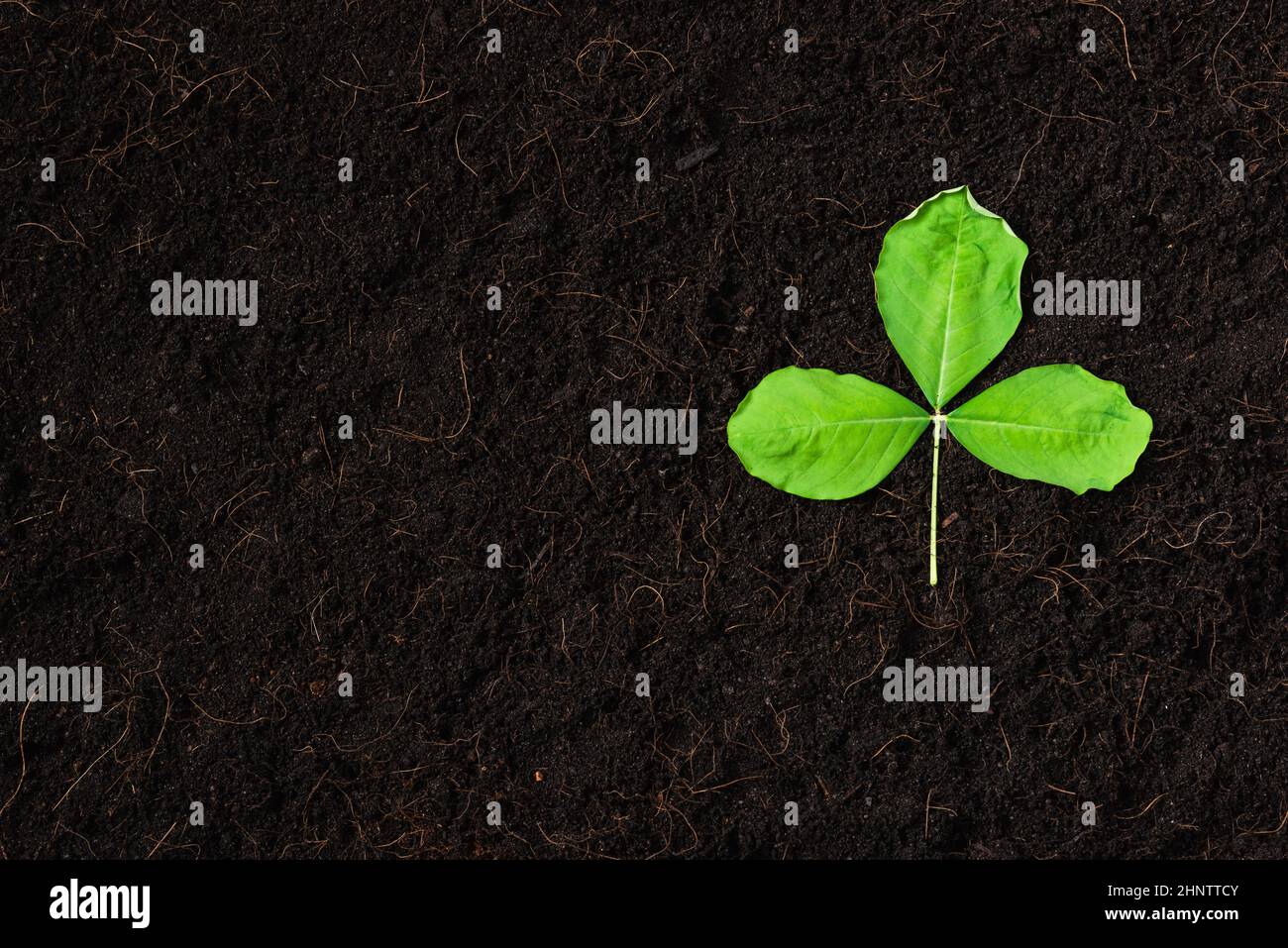 Pollution of soil hi-res stock photography and images - Alamy