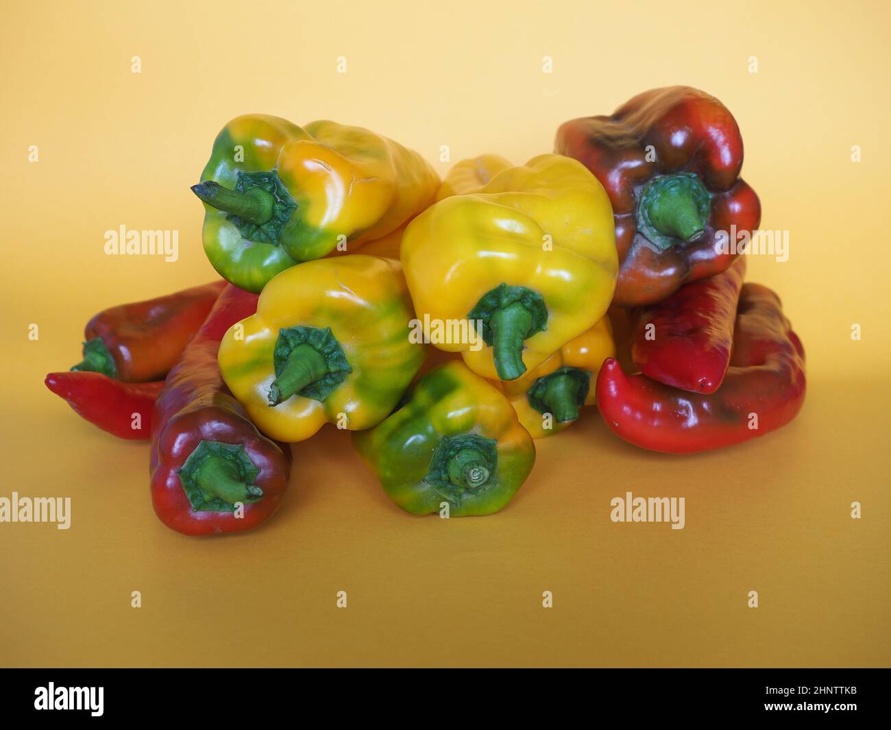 red and yellow peppers (scientific name Capsicum aka bell peppers ...
