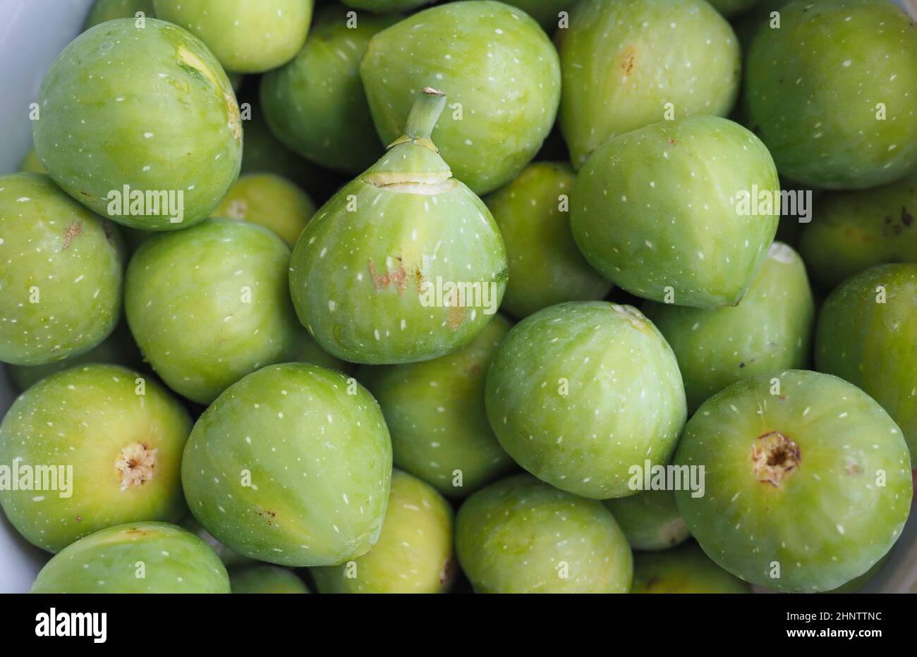 common fig (scientific name Ficus carica) vegetarian fruit food Stock ...