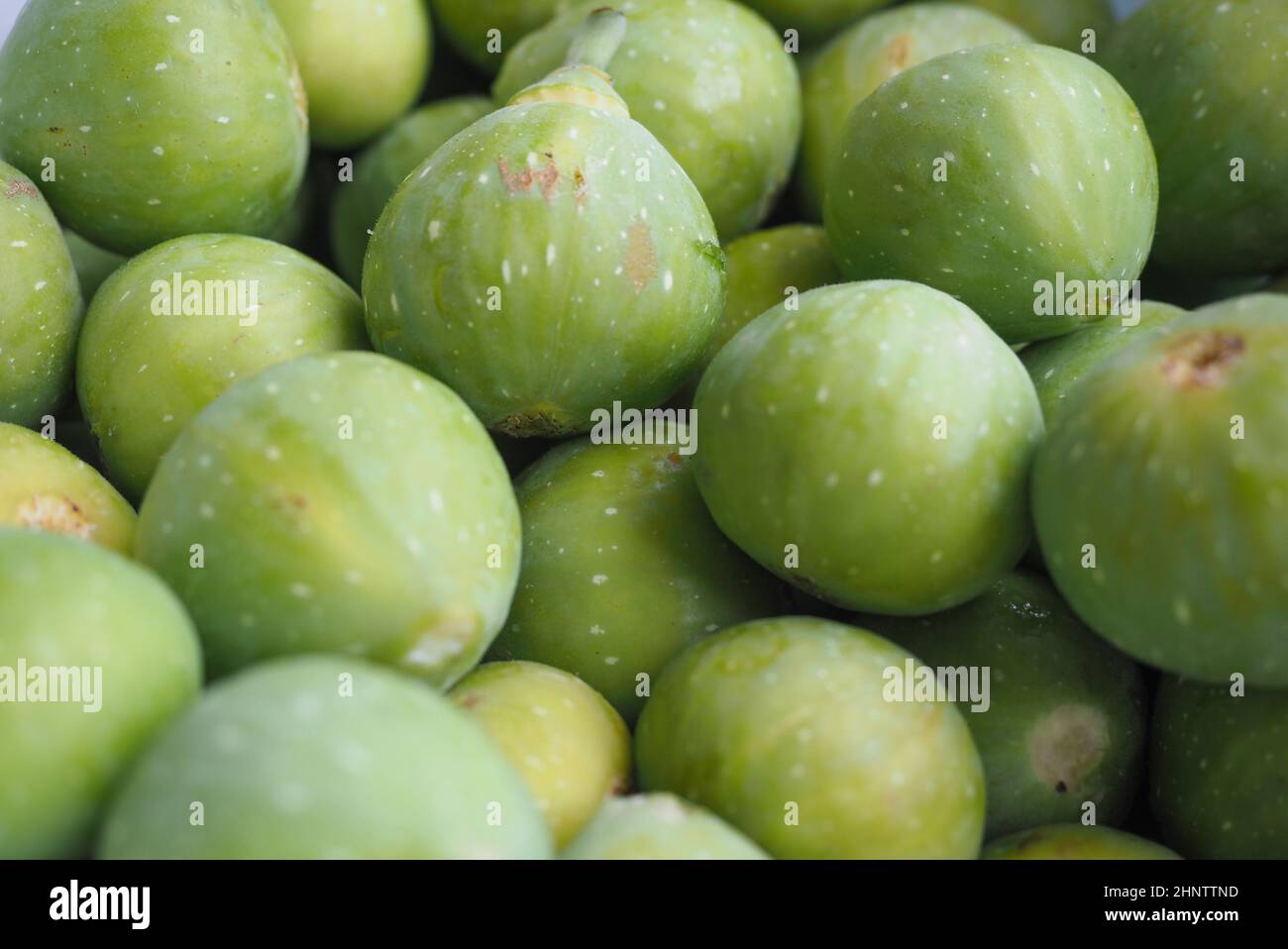 common fig (scientific name Ficus carica) vegetarian fruit food Stock ...