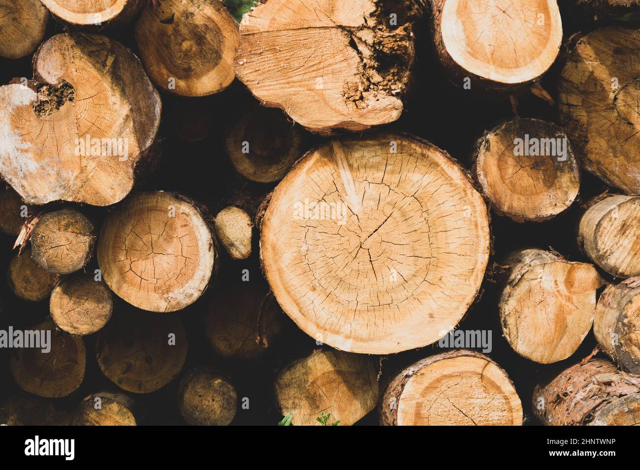 Stack of logs. natural wooden background with timber. log wall. pile of ...