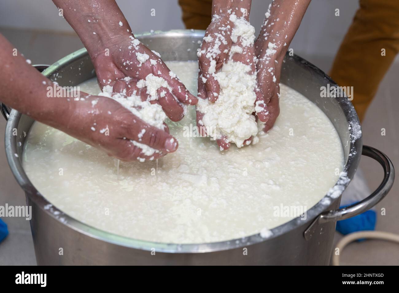 Cheese making process in a workshop. Hands making cheese, close up ...