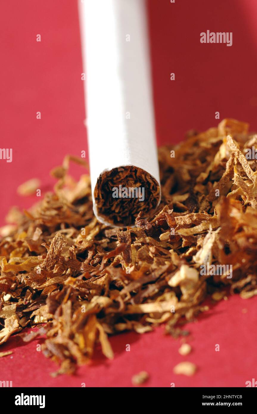 different types of cigarettes on a white background Stock Photo - Alamy